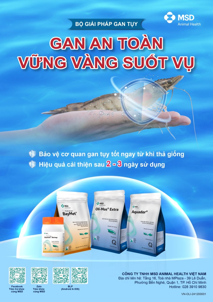 Bộ gan tụy tôm thương phẩm - MSD Animal Health Vietnam