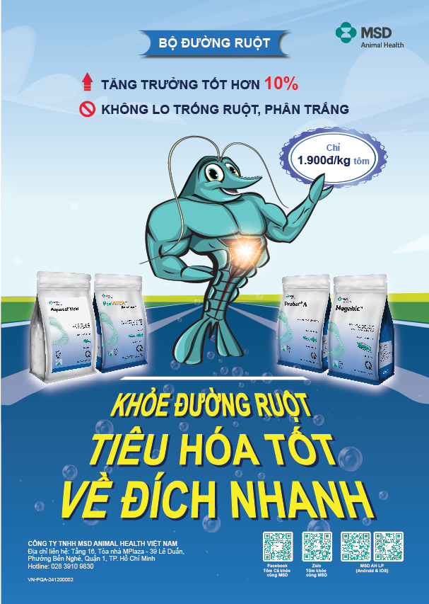 Khỏe đường ruột tôm - MSD Animal Health Vietnam