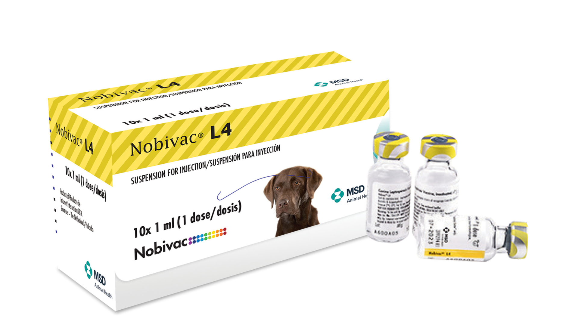 Nobivac® L4 - MSD Animal Health Vietnam
