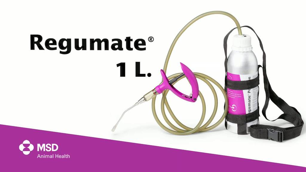 REGUMATE® - MSD Animal Health Vietnam
